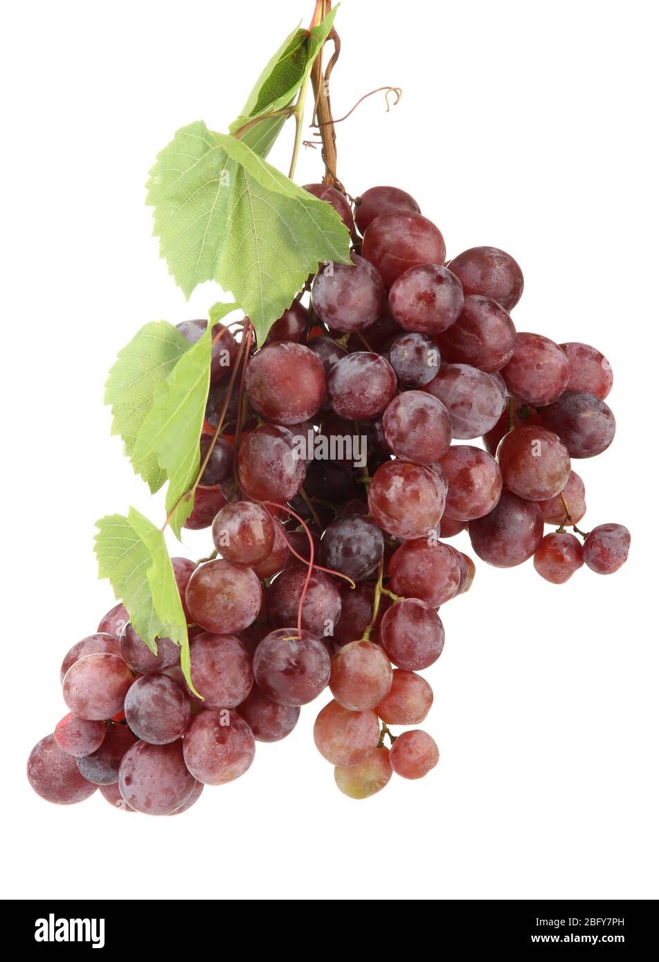 ripe sweet grapes isolated on white Stock Photo - Alamy