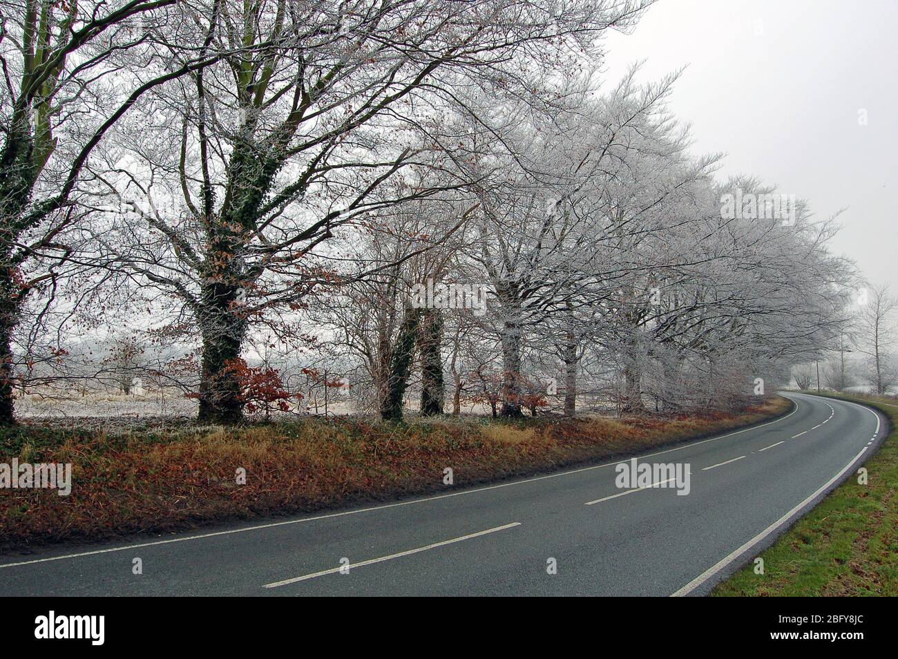 Hore frost hi-res stock photography and images - Alamy