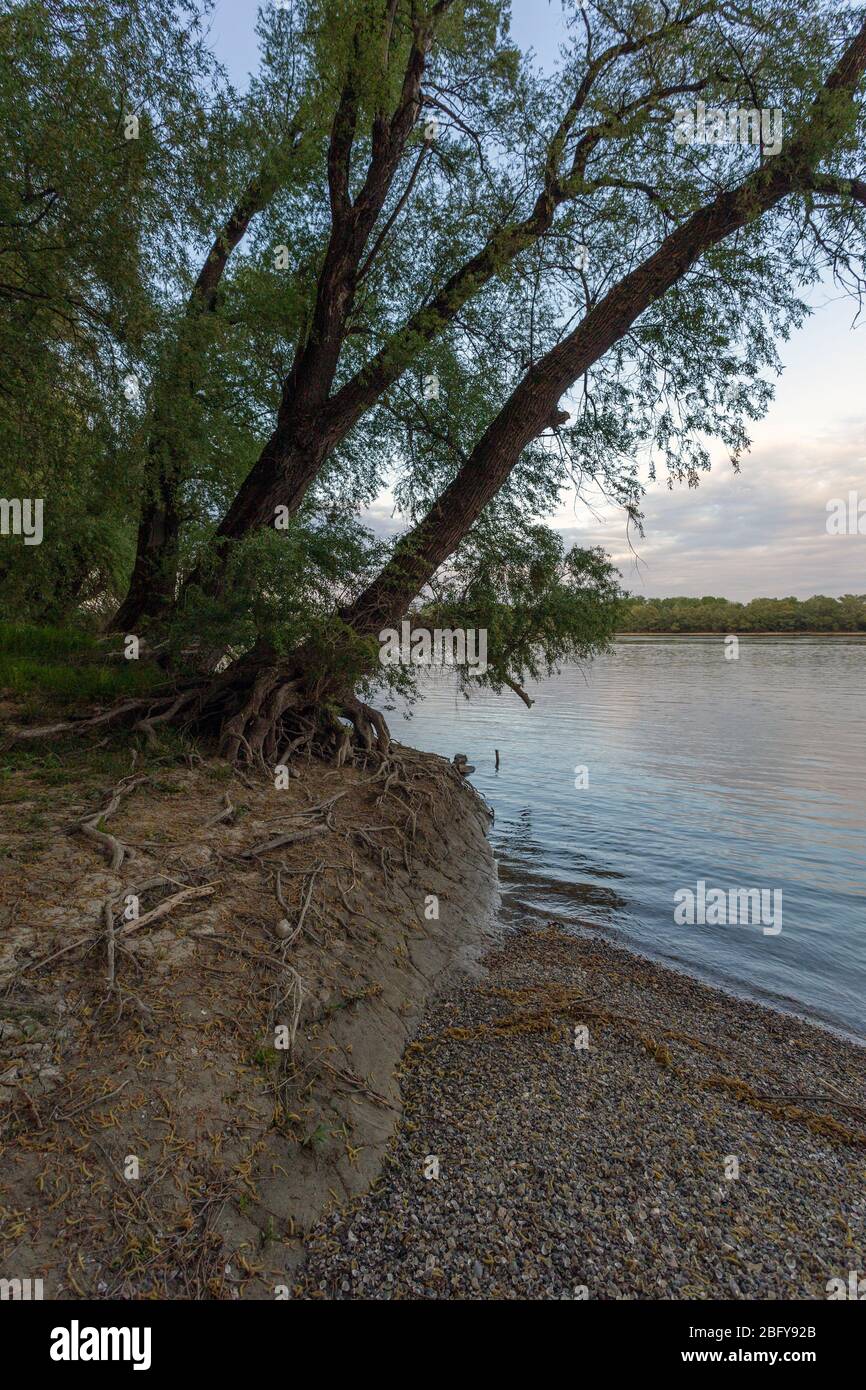 Rivershore hi-res stock photography and images - Alamy