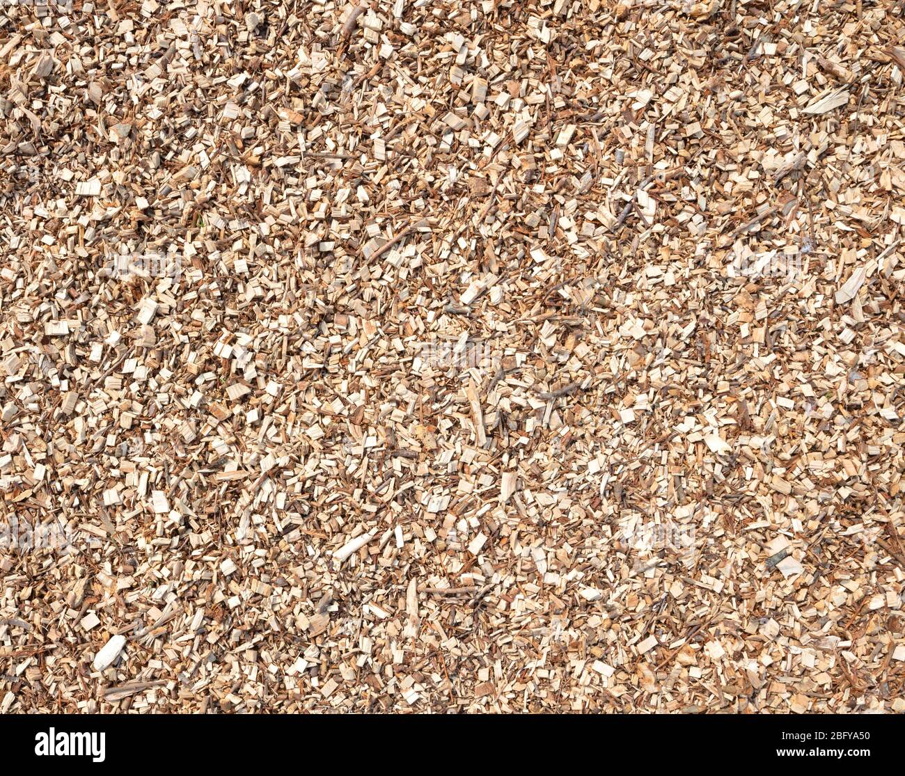 Wood chips background, texture - Splinter, a sliver of wood Stock Photo ...
