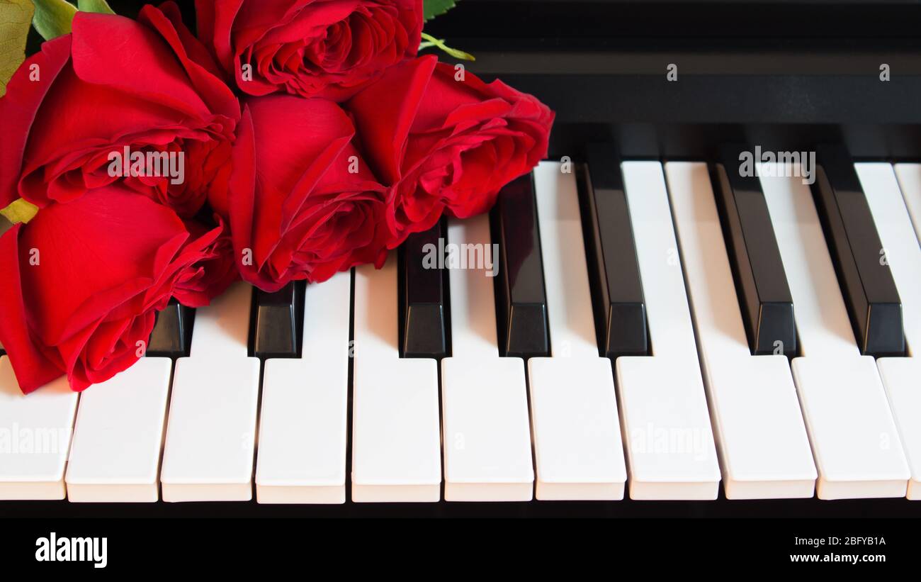 Bouquet of red roses on the piano. Flowers on a musical instrument ...