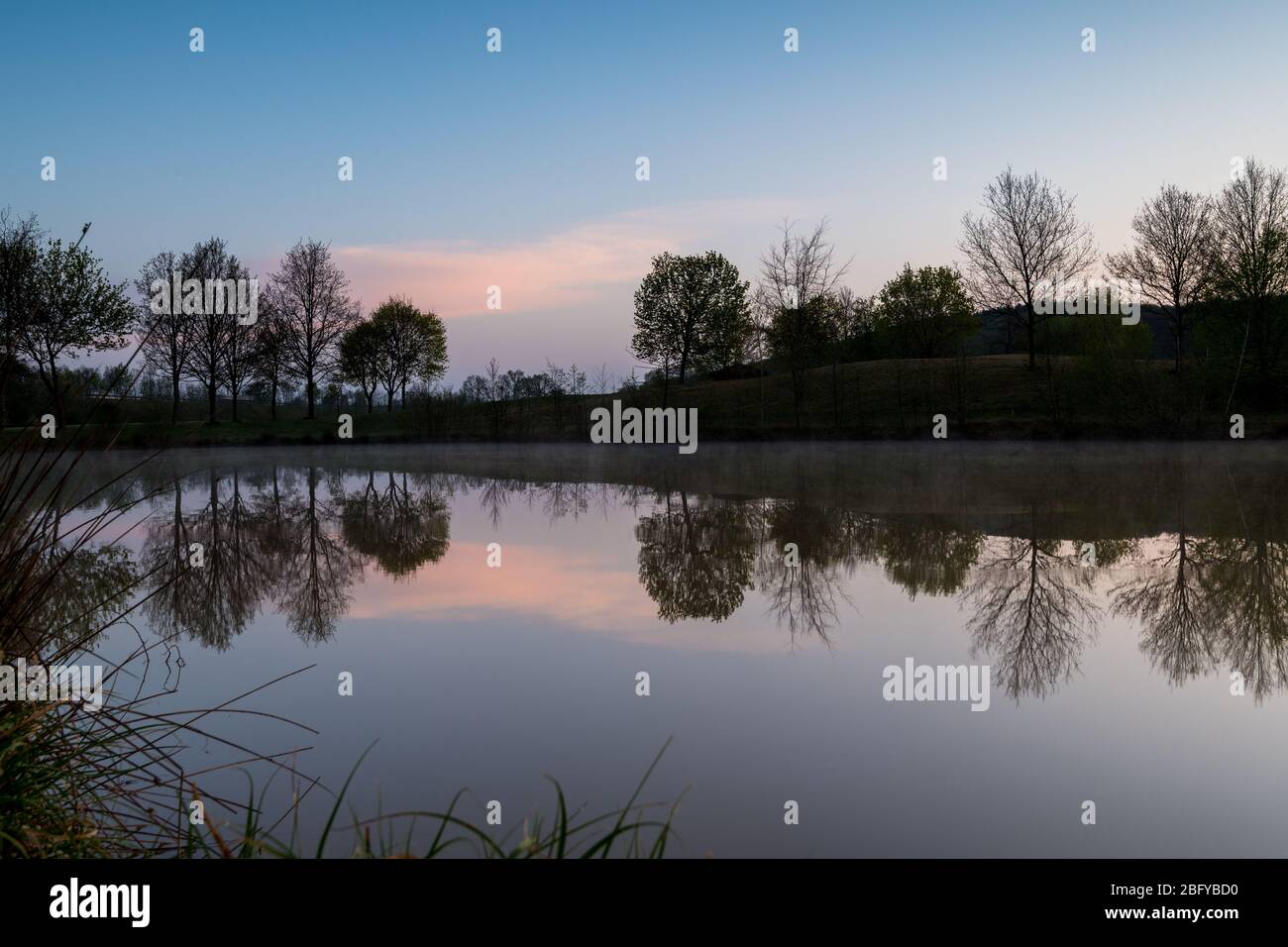 Tree reflection in water hi-res stock photography and images - Alamy