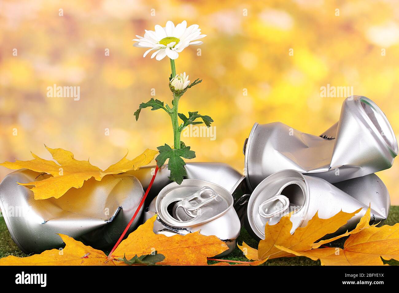 Garbage with growing flower. Environmental conservation concept Stock ...