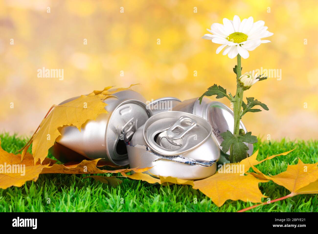 Garbage dump growing flower plant hi-res stock photography and images ...
