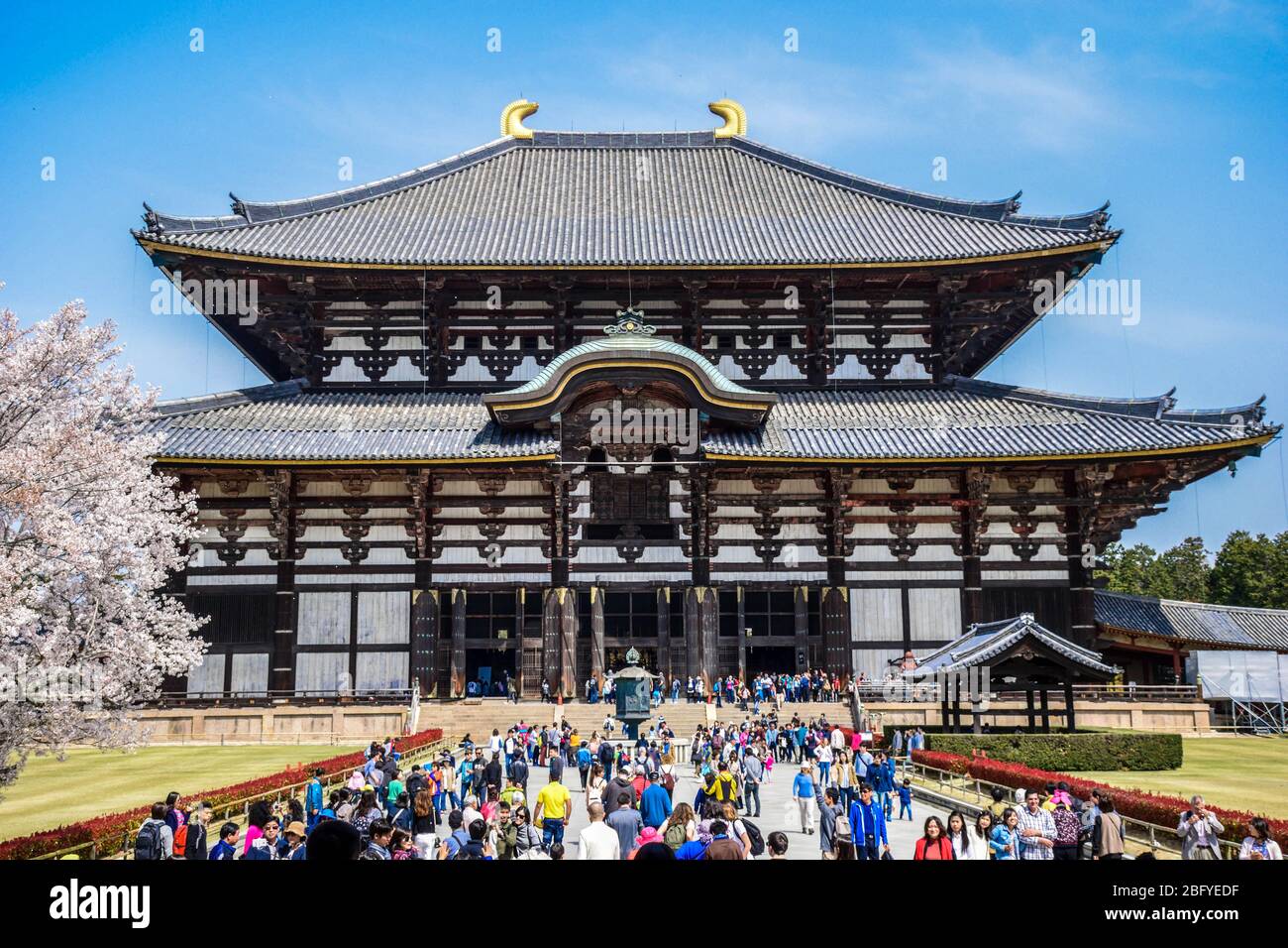 Historic wooden palace in UNESCO herritage city of Nara in Japan, Nara ...