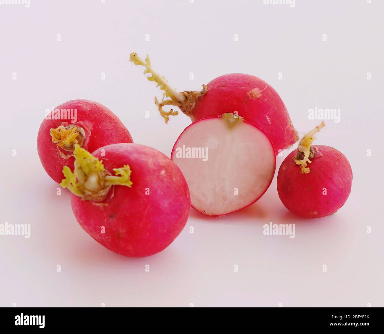 radish red baby isolated with white background Stock Photo - Alamy