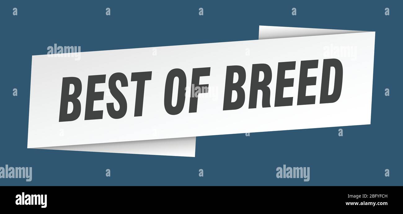best of breed banner template. best of breed ribbon label sign Stock ...