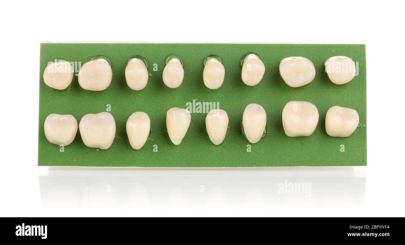 Teeth set isolated on white Stock Photo - Alamy