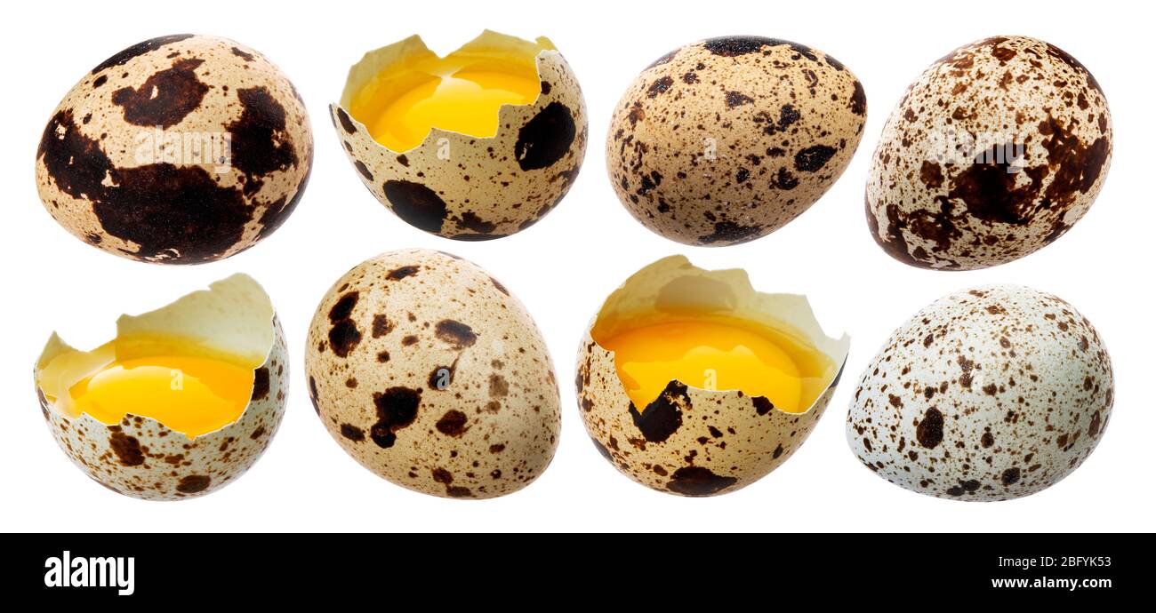 Fresh quail eggs isolated on white background Stock Photo - Alamy