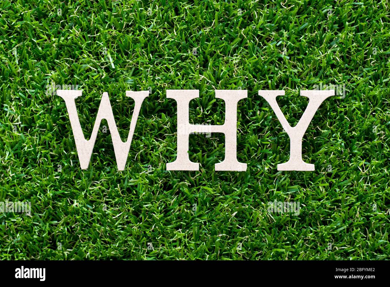 Wood letter in word why on artificial green grass background Stock ...