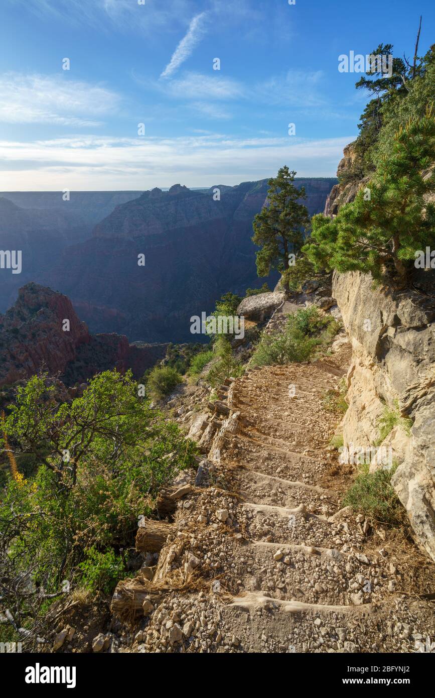 hiking the grandview trail at the south rim of grand canyon in arizona ...