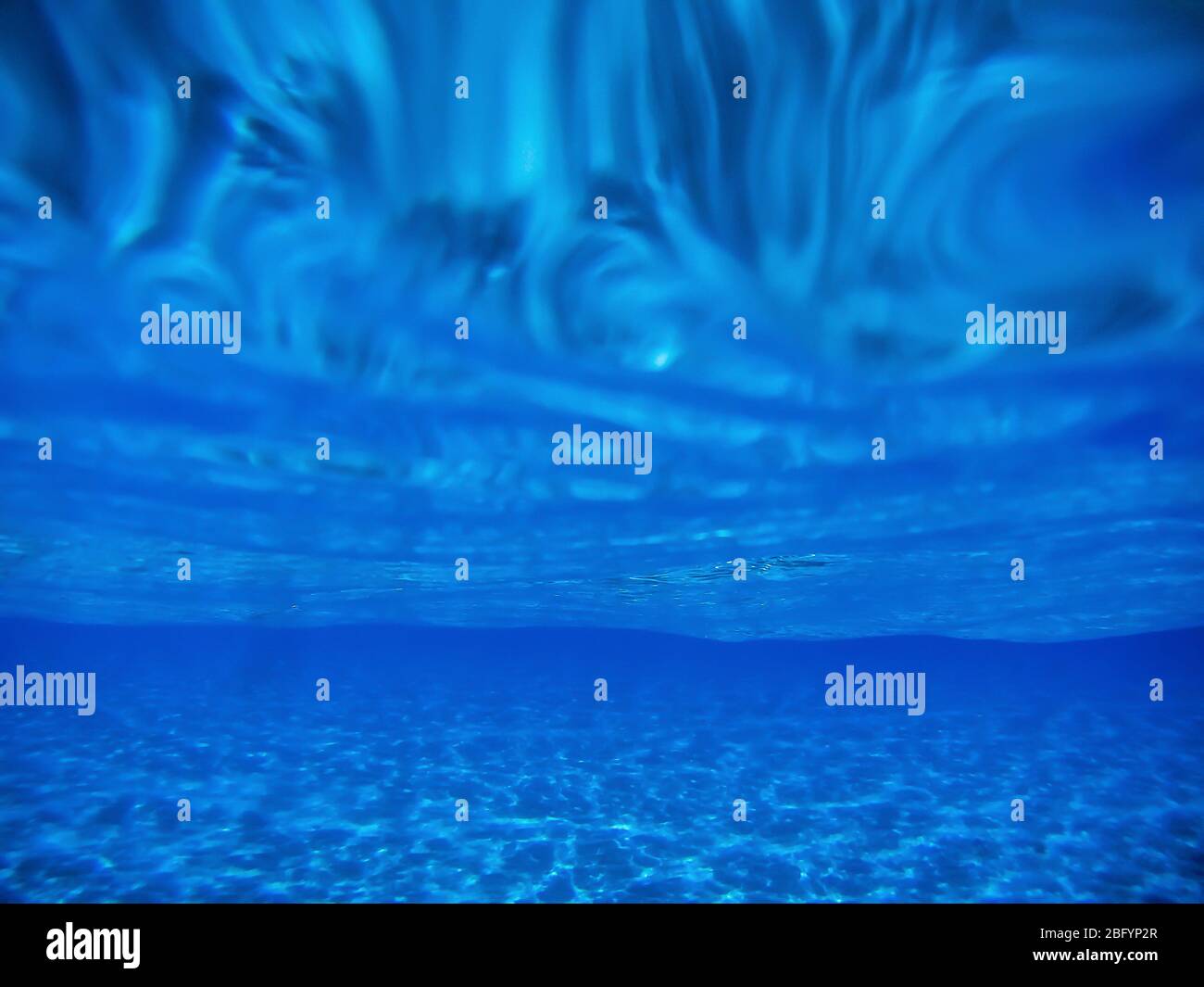 Black tip caribbean reef shark hi-res stock photography and images - Alamy