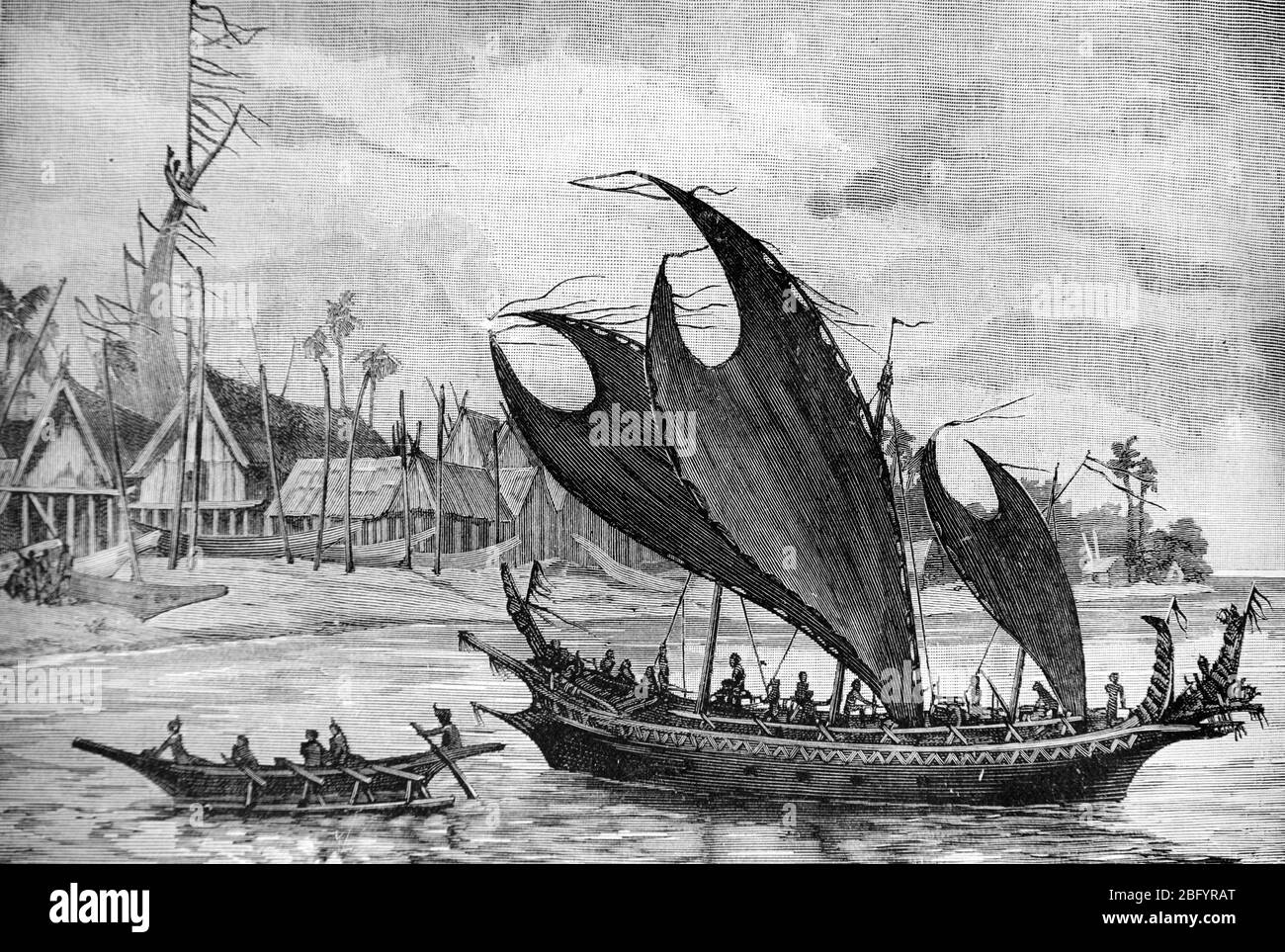 Sago papua new guinea hi-res stock photography and images - Alamy