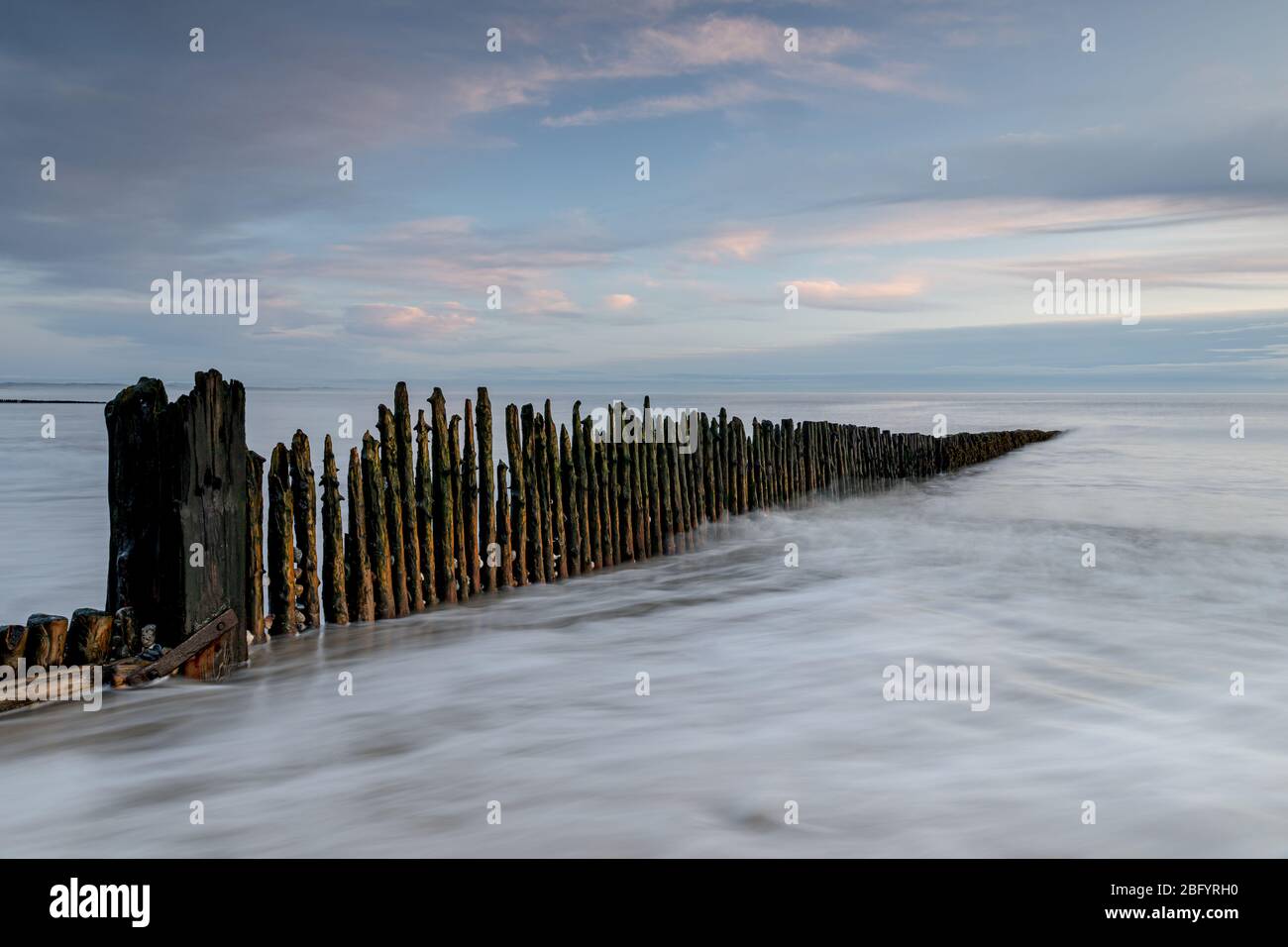 On the shoreline at Rosslare Strand Wexford Ireland Stock Photo - Alamy