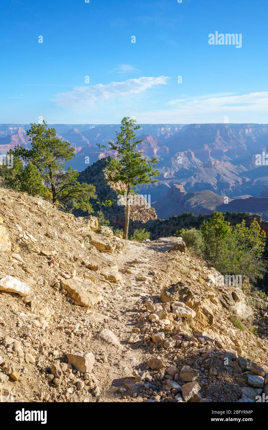 hiking the grandview trail at the south rim of grand canyon in arizona ...