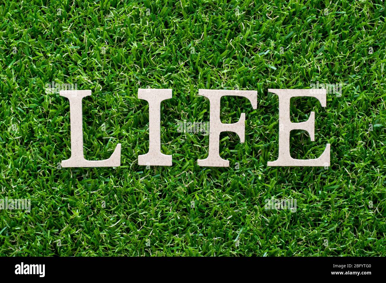 Wood letter in word life on artificial green grass background Stock ...