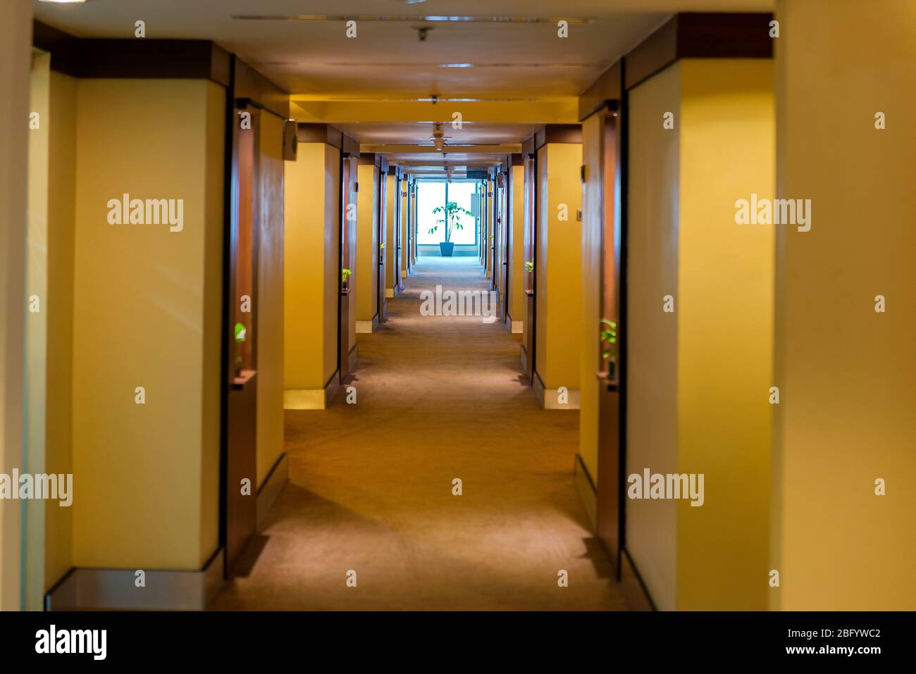 Elegant hallway interior glass hi-res stock photography and images - Alamy