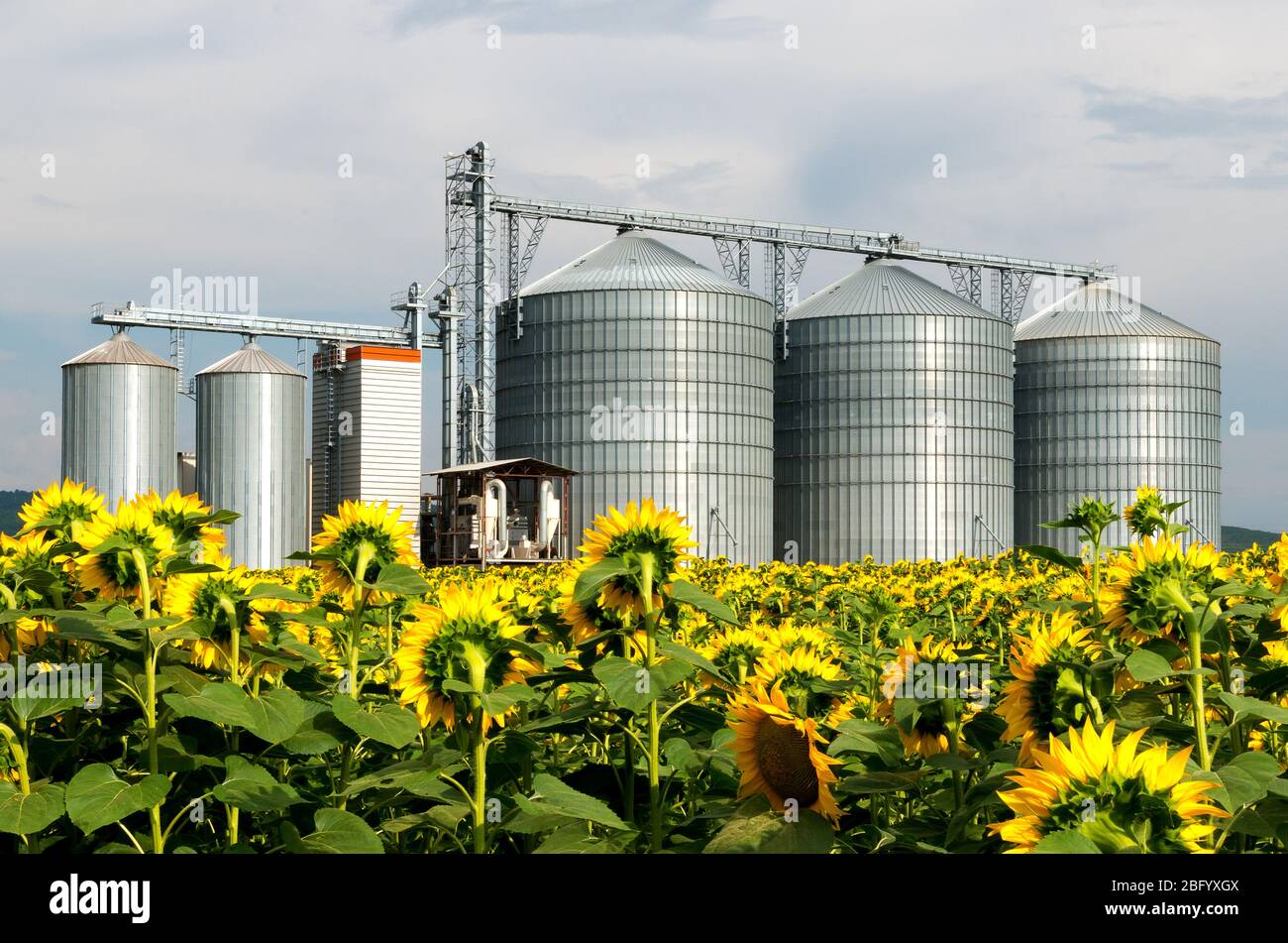 Cereal silo hi-res stock photography and images - Alamy