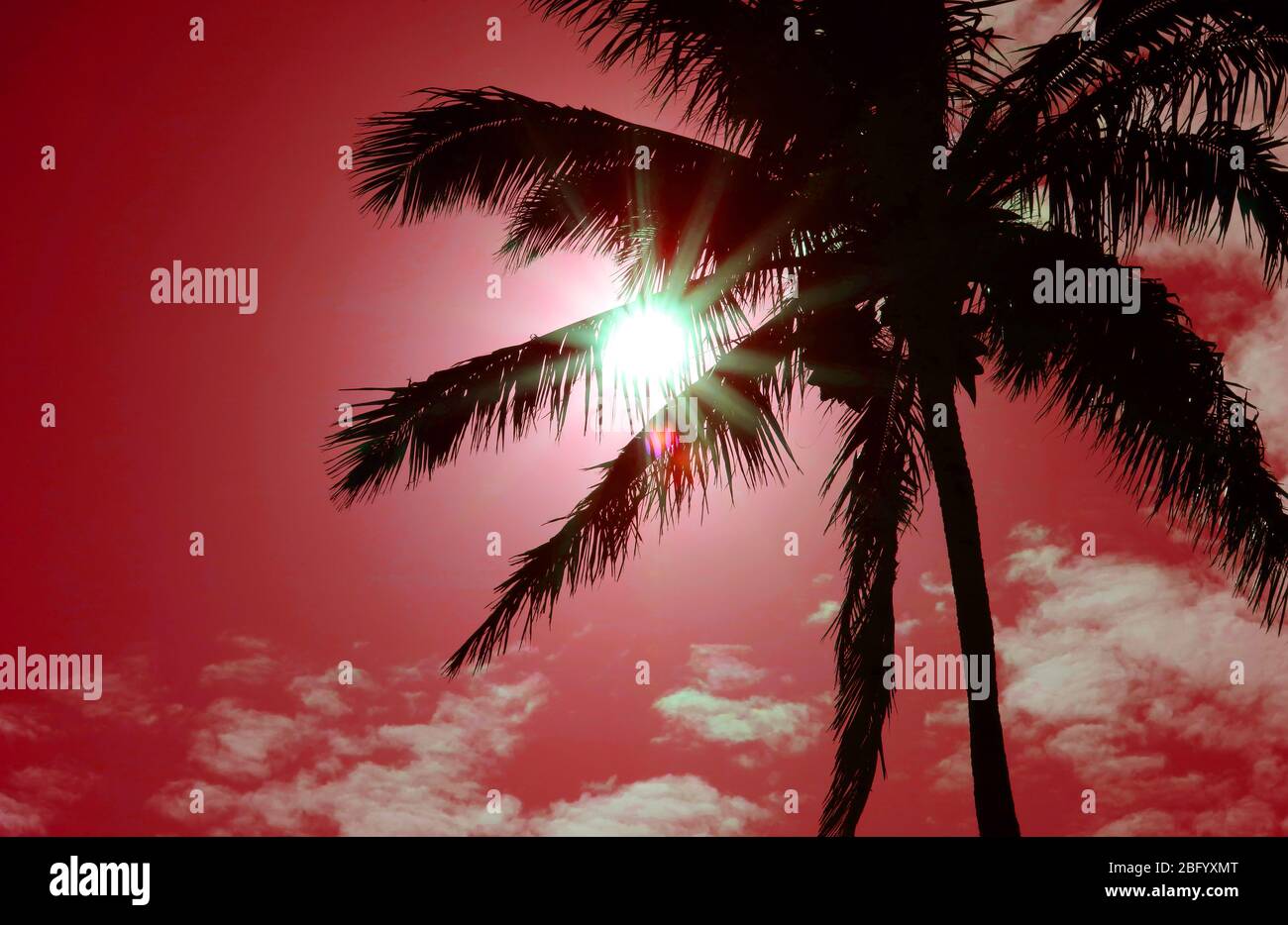 Sun and dazzling hi-res stock photography and images - Alamy