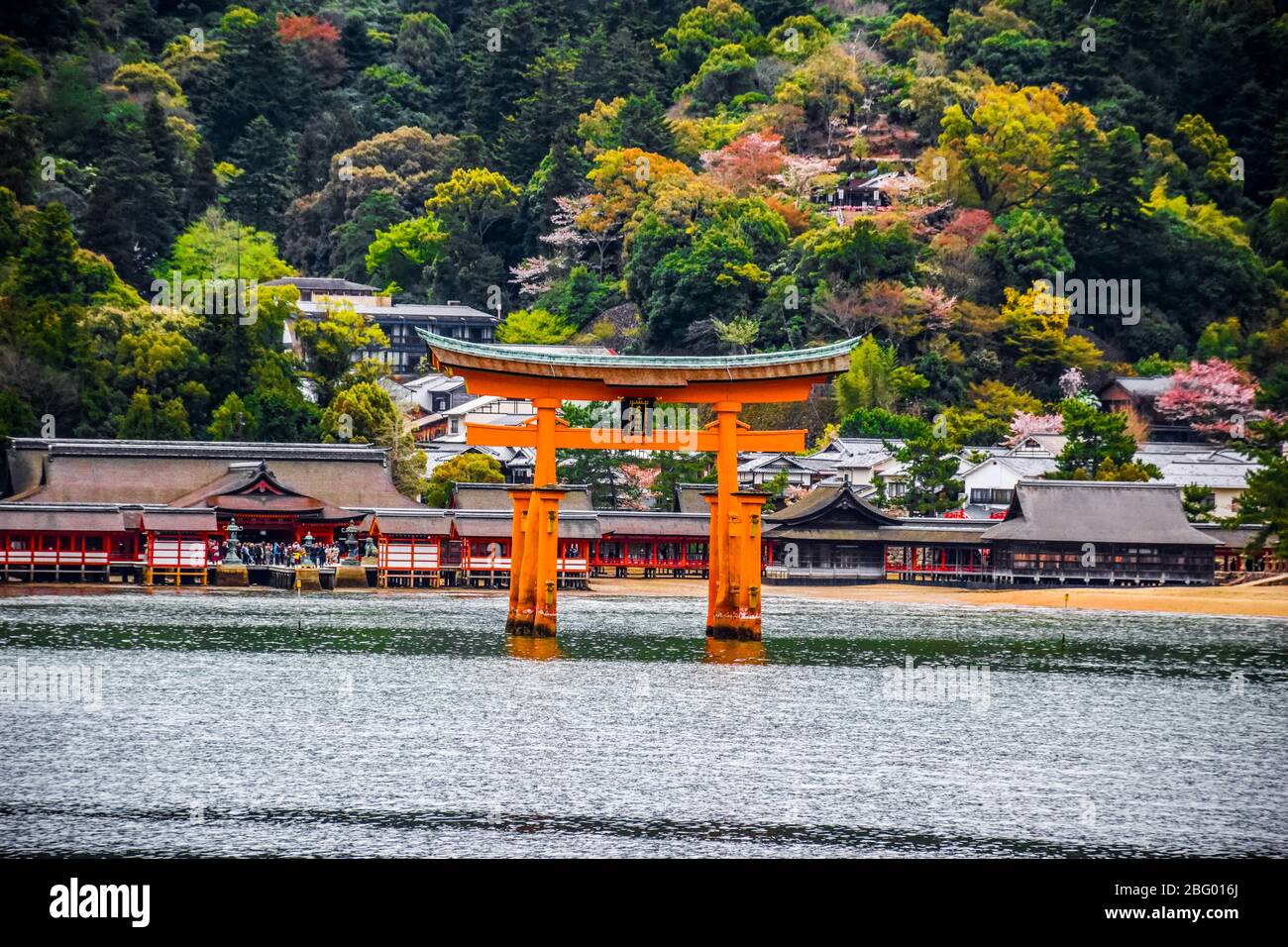 Floating gate as a symbol of Hiroshima prefektura, Myijajima Stock ...