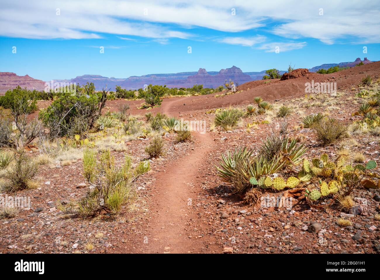 hiking the grandview trail at the south rim of grand canyon in arizona ...