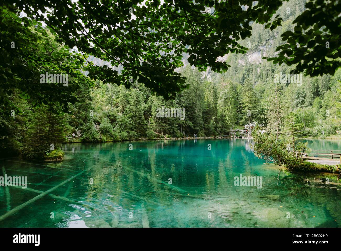 blue lake in switzerland. Switzerland, Blausee. Beautiful lake in ...