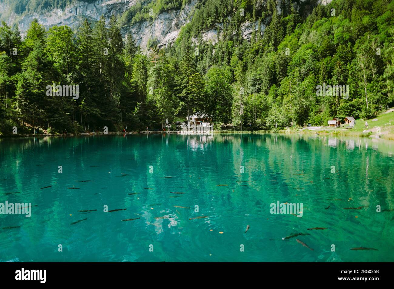 blue lake in switzerland. Switzerland, Blausee. Beautiful lake in ...