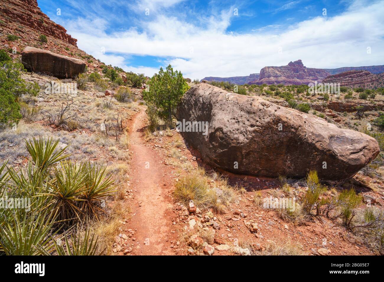hiking the grandview trail at the south rim of grand canyon in arizona ...