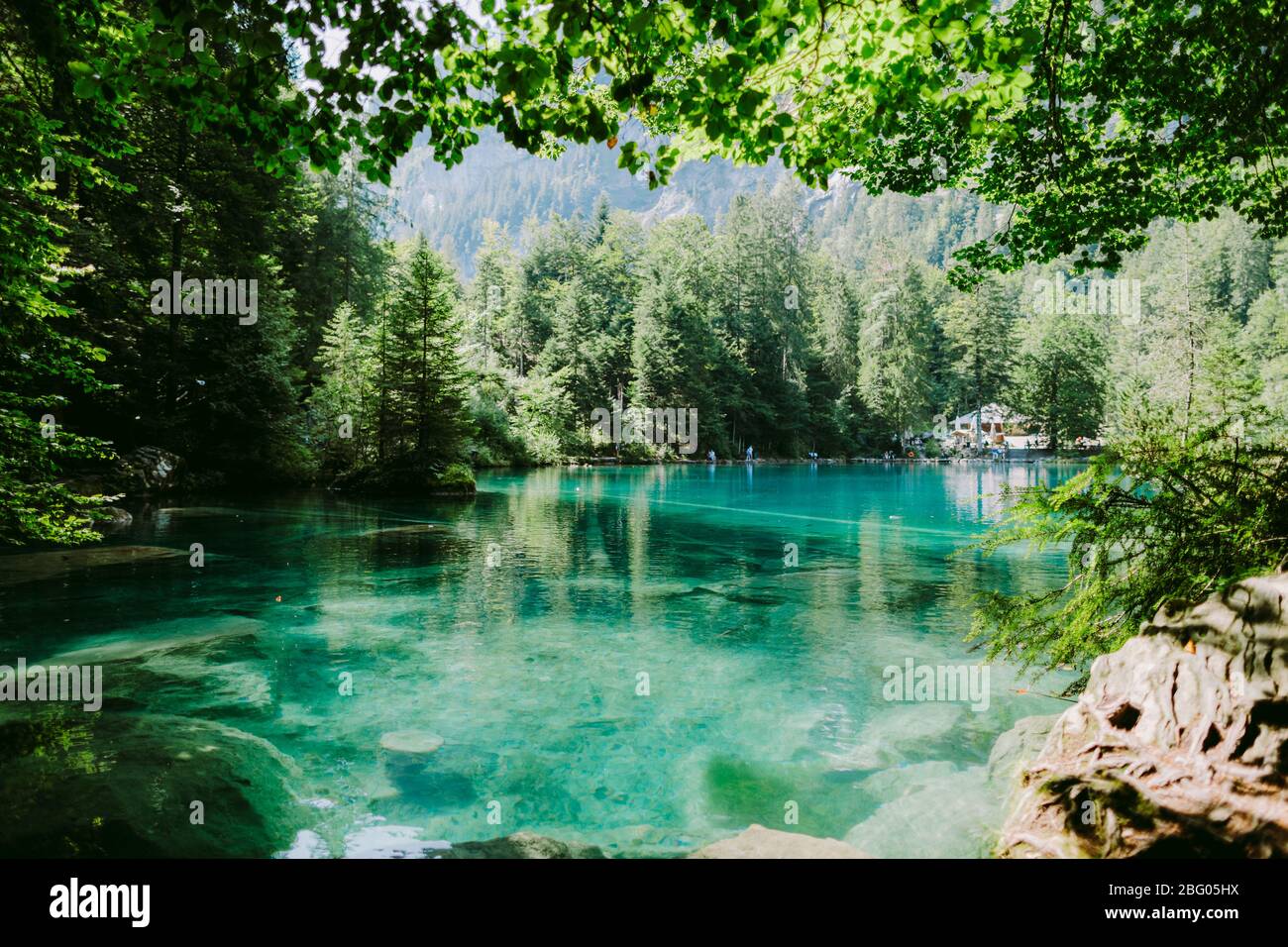 blue lake in switzerland. Switzerland, Blausee. Beautiful lake in ...