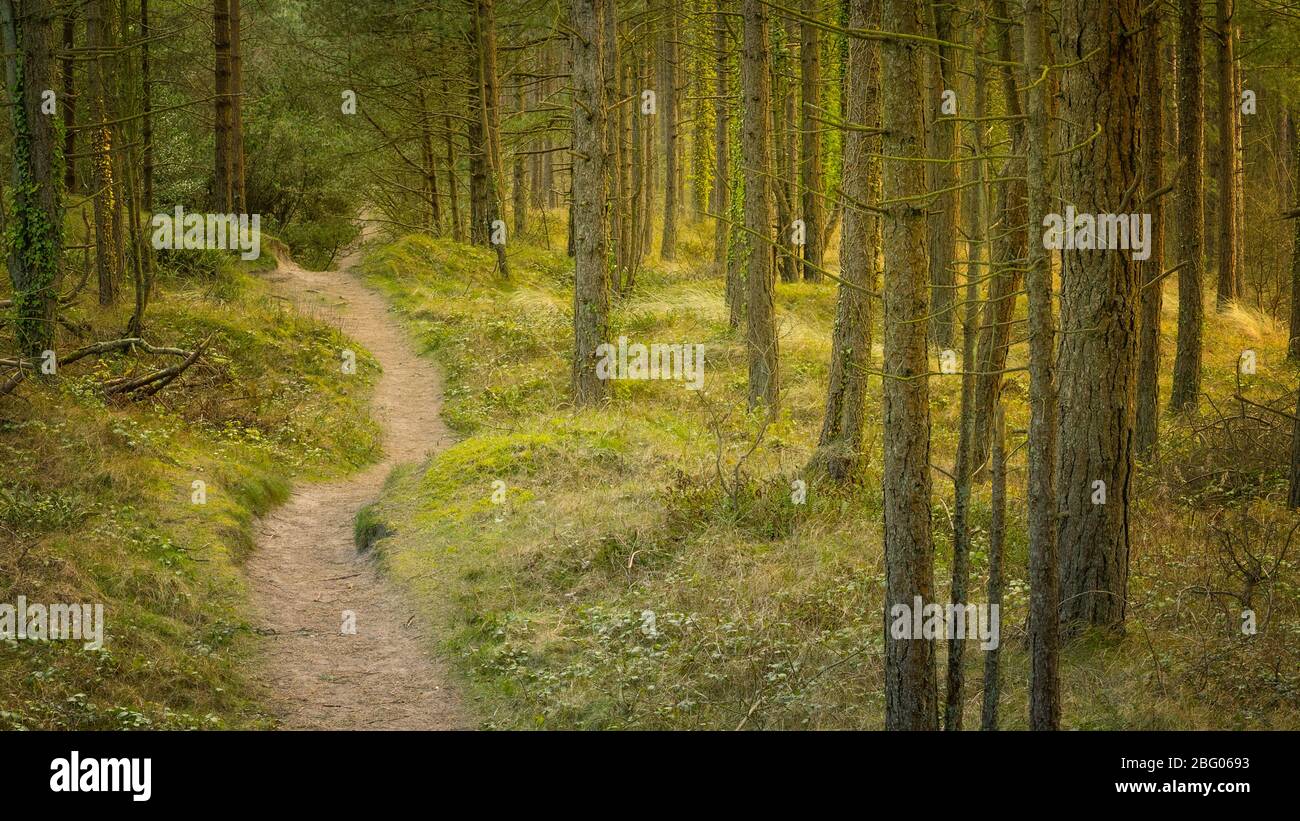 Raven poiont wexford hi-res stock photography and images - Alamy