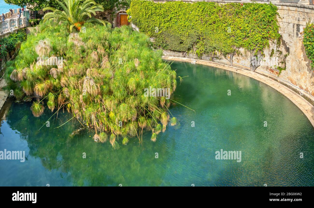 Arethusa hi-res stock photography and images - Alamy