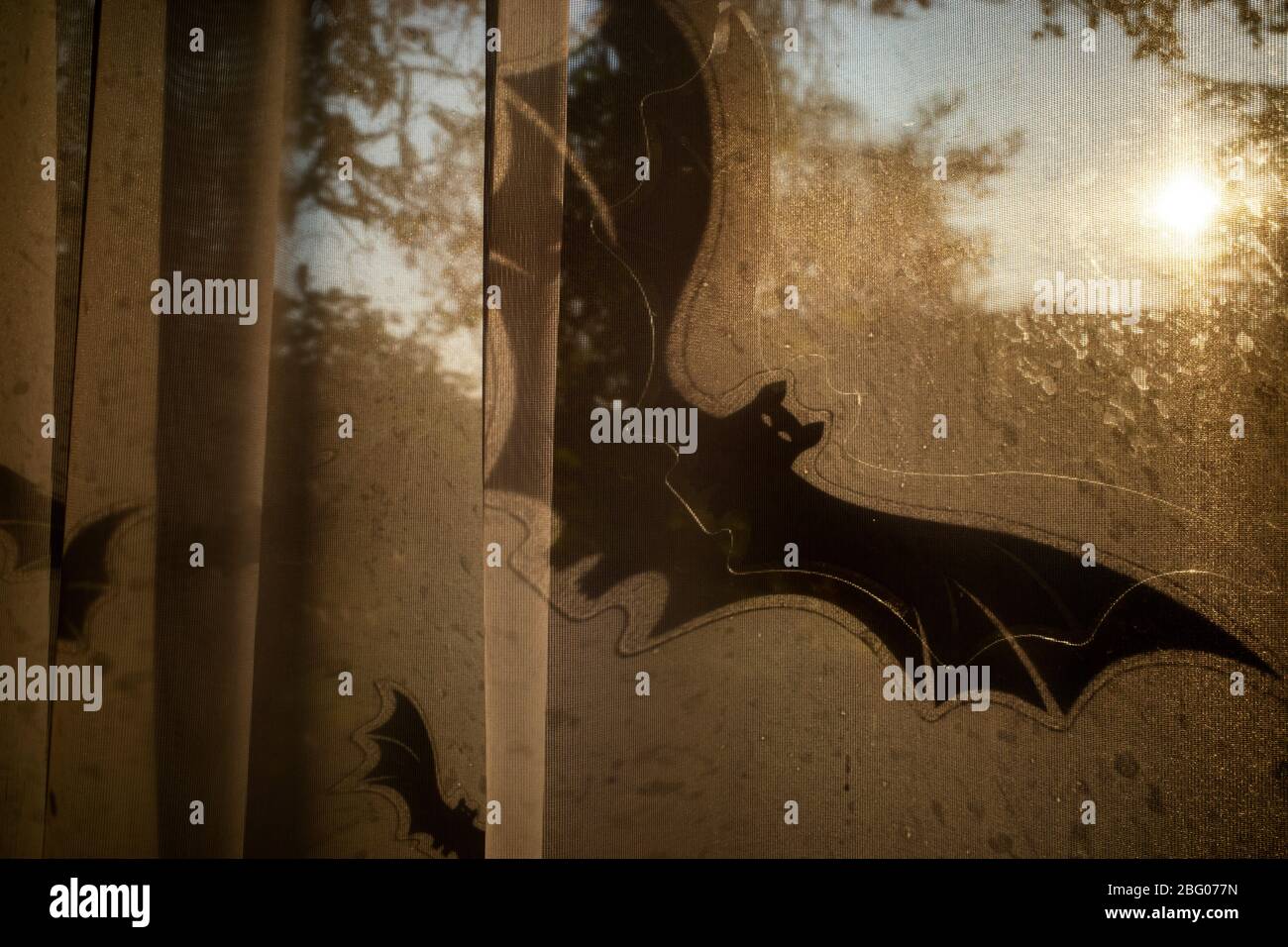 Bat window stickers Stock Photo - Alamy