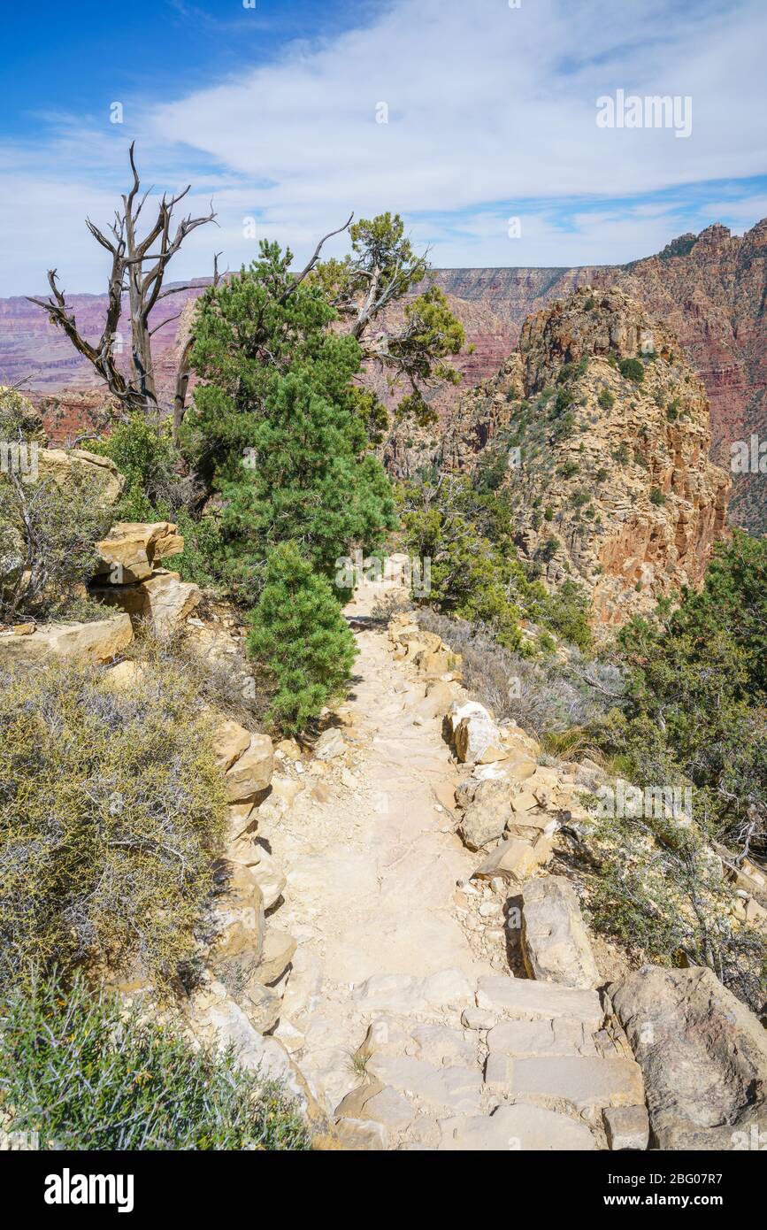 hiking the grandview trail at the south rim of grand canyon in arizona ...