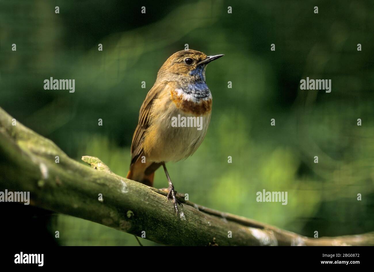 333d8y4p hi-res stock photography and images - Alamy