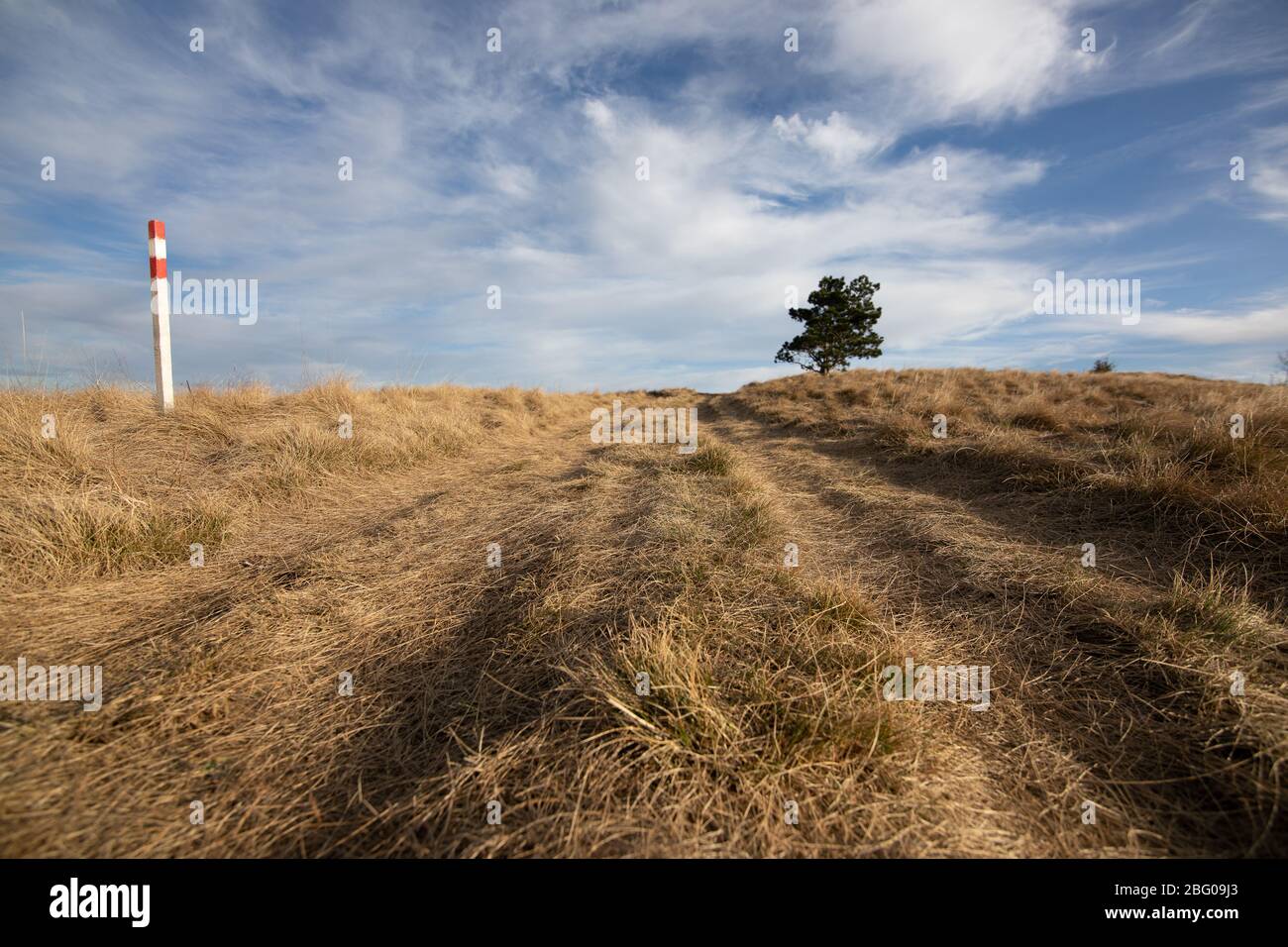 field with path and marking stick Stock Photo - Alamy