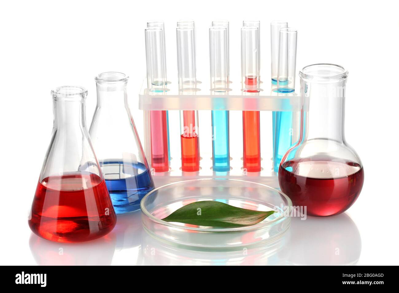 Test-tubes and green leaf tested in petri dish, isolated on white Stock ...