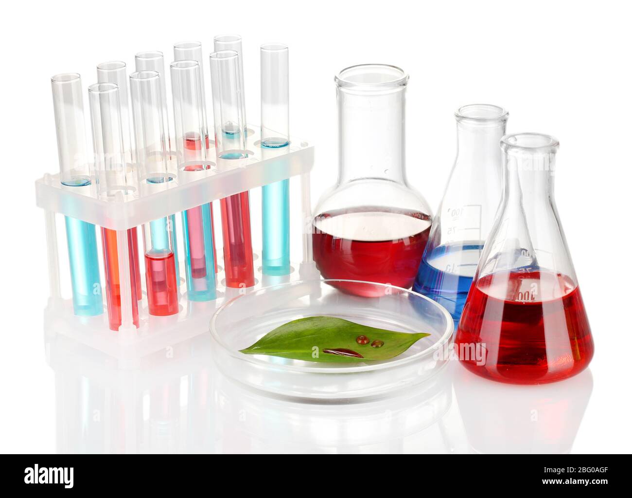 Test-tubes and green leaf tested in petri dish, isolated on white Stock ...
