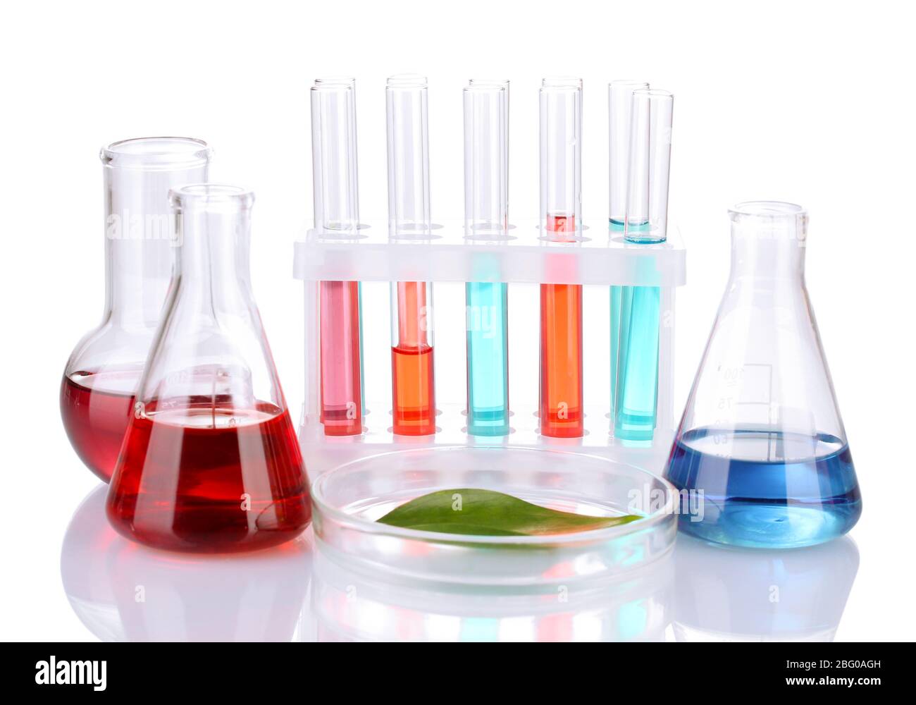 Test-tubes and green leaf tested in petri dish, isolated on white Stock ...