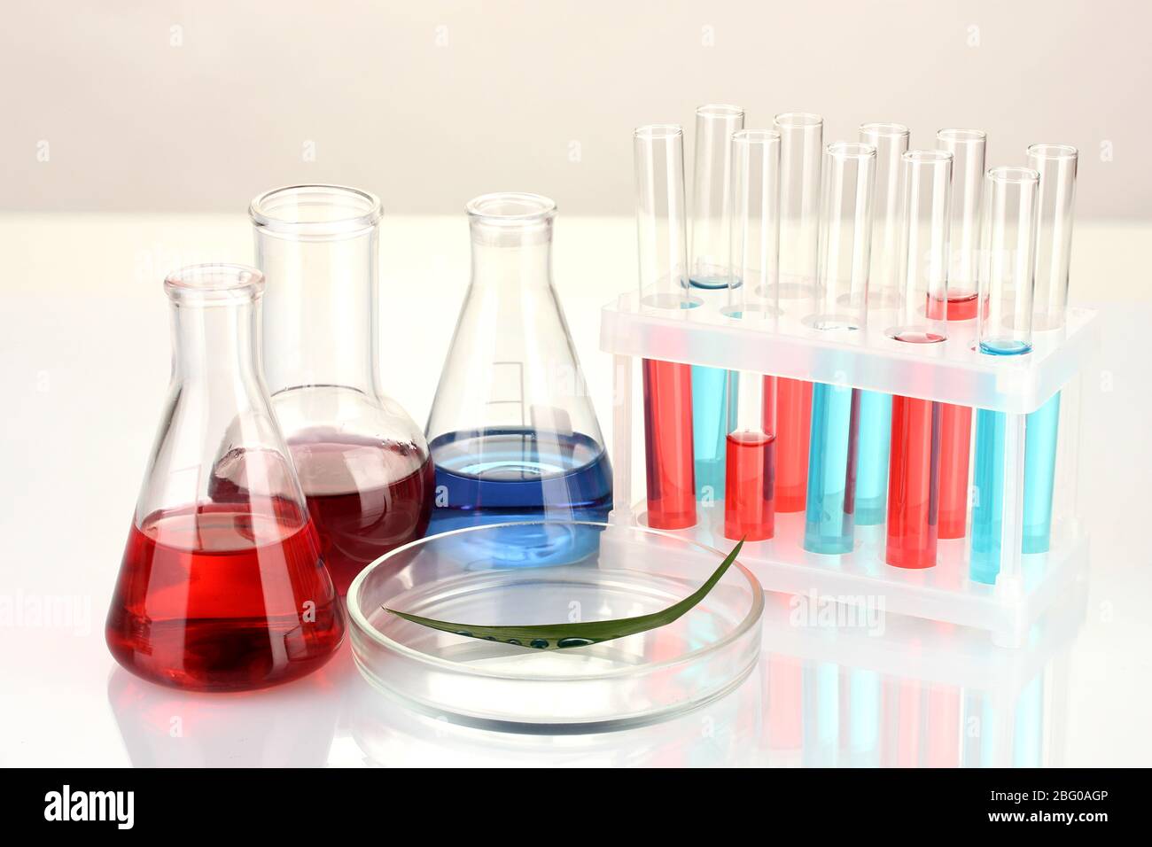 Test-tubes and green leaf tested in petri dish, isolated on white Stock ...