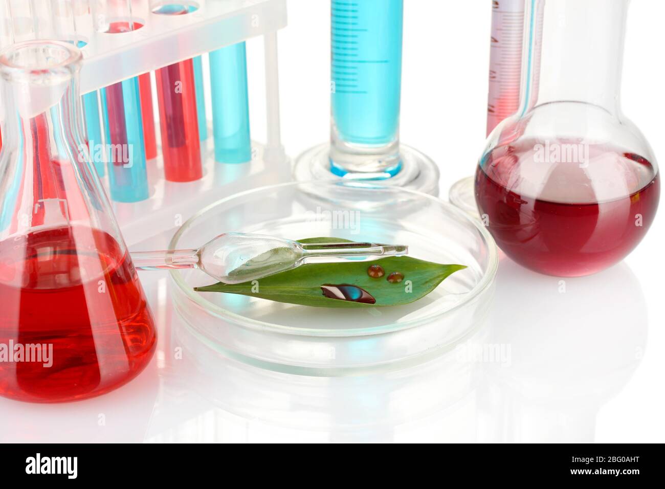 Test-tubes and green leaf tested in petri dish, isolated on white Stock ...