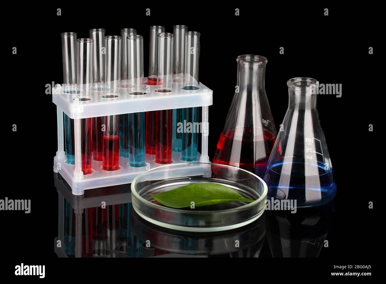 Test-tubes and green leaf tested in petri dish, isolated on black Stock ...