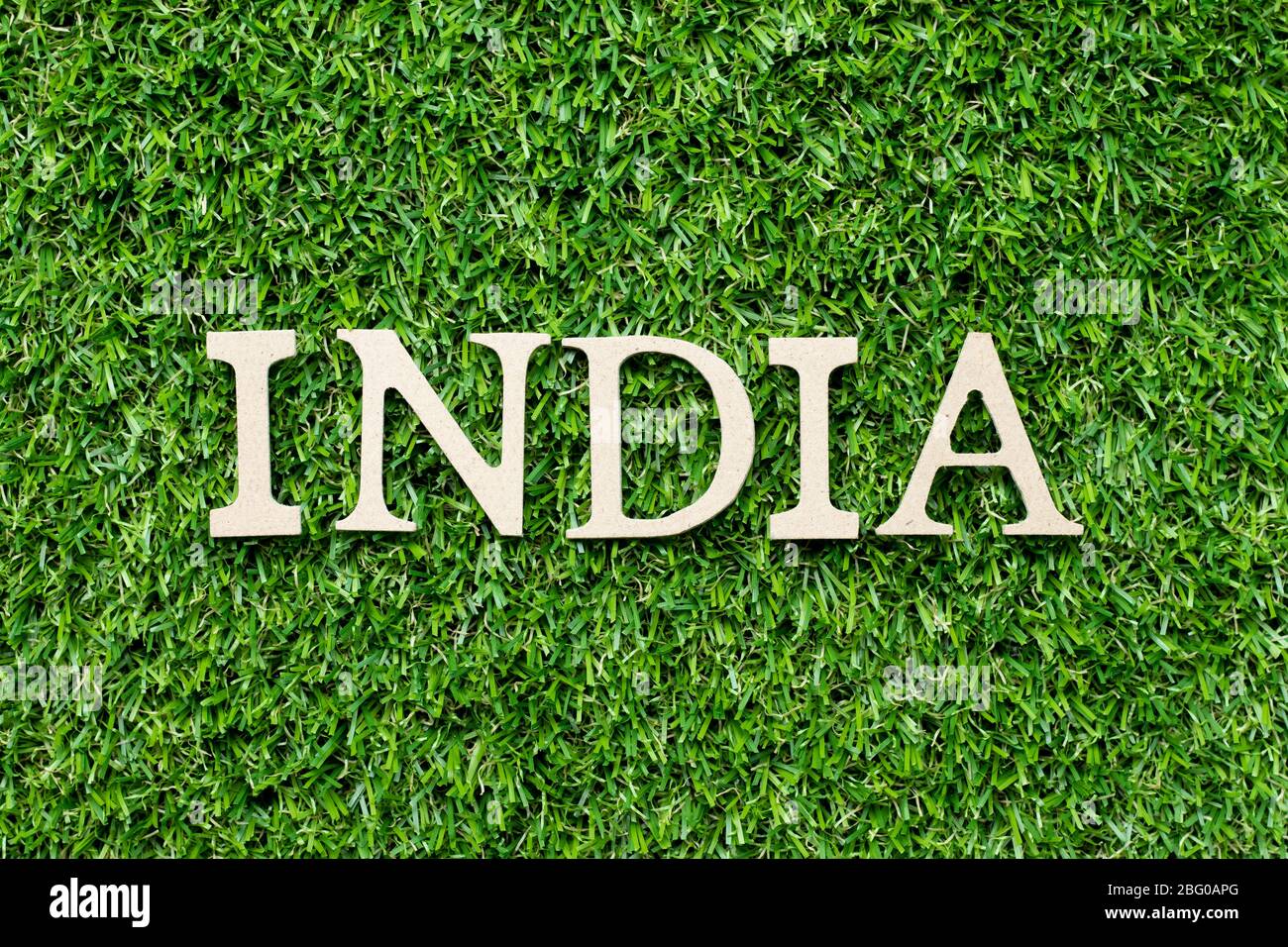 Alphabet letter in word India on green grass background Stock Photo - Alamy