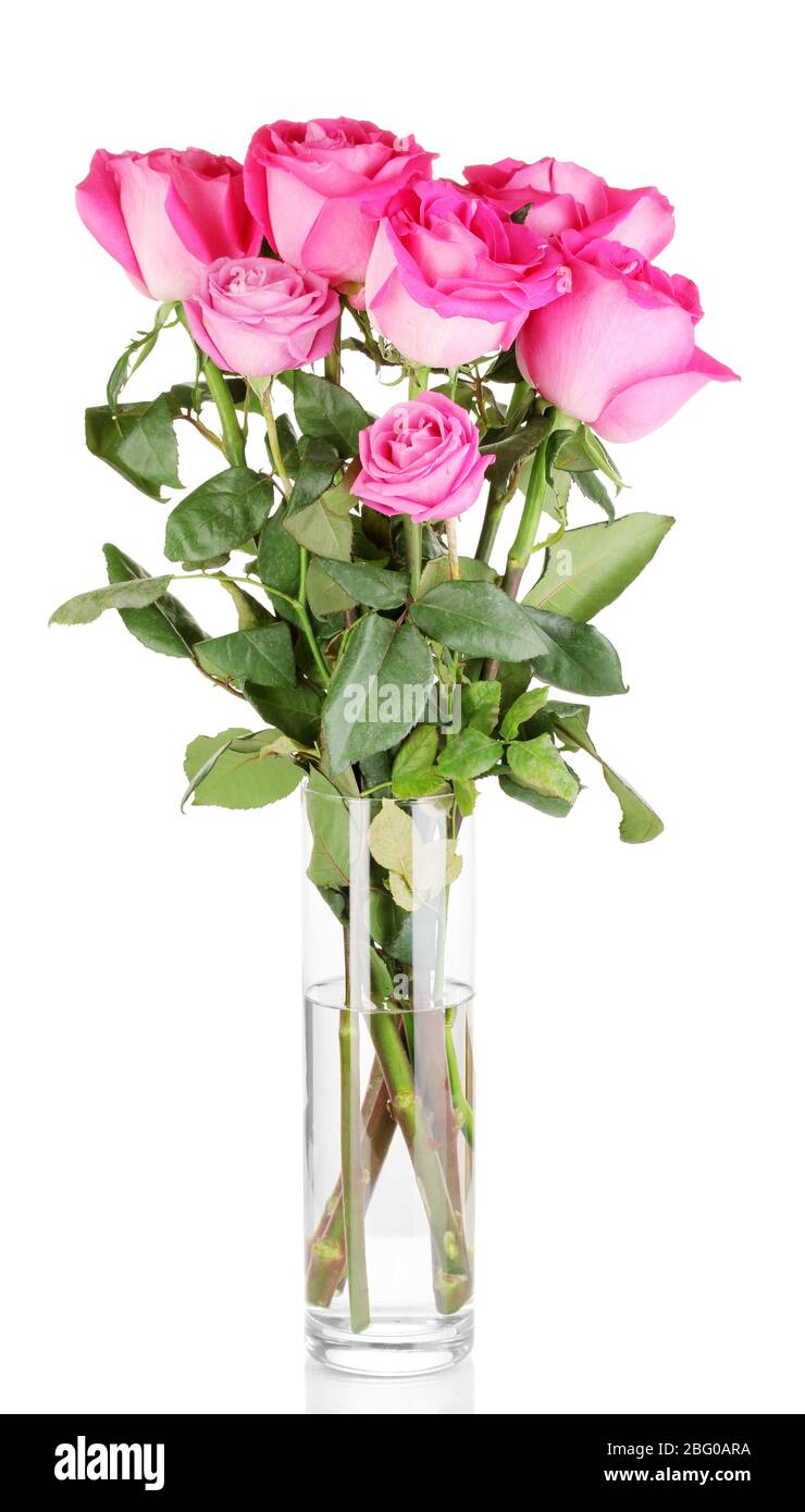 Beautiful pink roses in vase isolated on white Stock Photo - Alamy