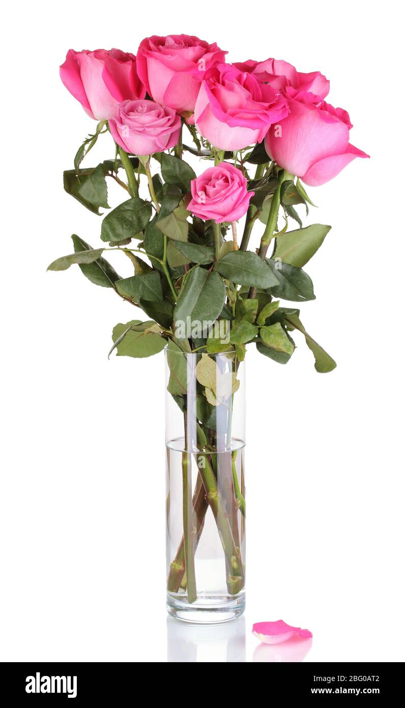 Beautiful pink roses in vase isolated on white Stock Photo - Alamy