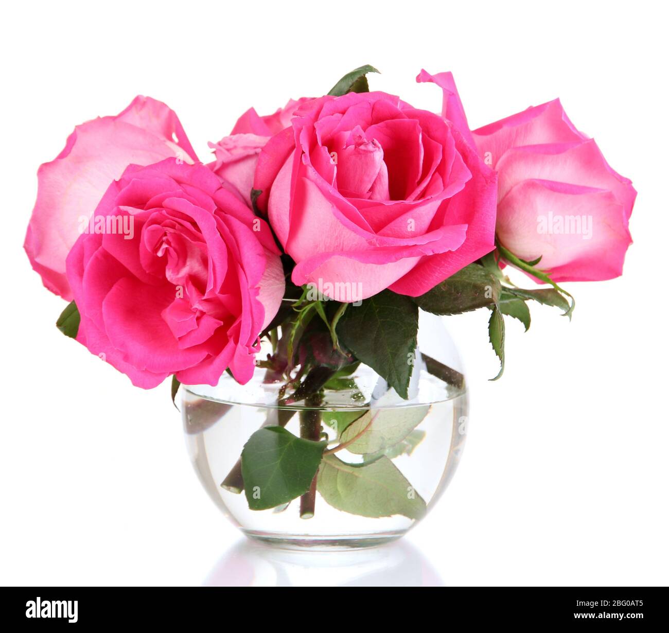 Beautiful pink roses in vase isolated on white Stock Photo - Alamy