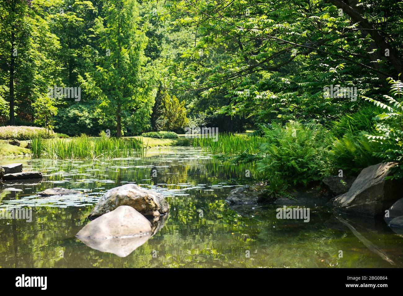 Summer japanese garden. Beautiful nature. City park Stock Photo - Alamy