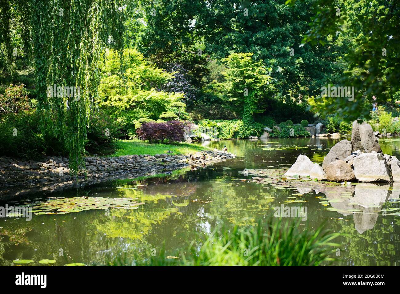 Summer japanese hi-res stock photography and images - Alamy