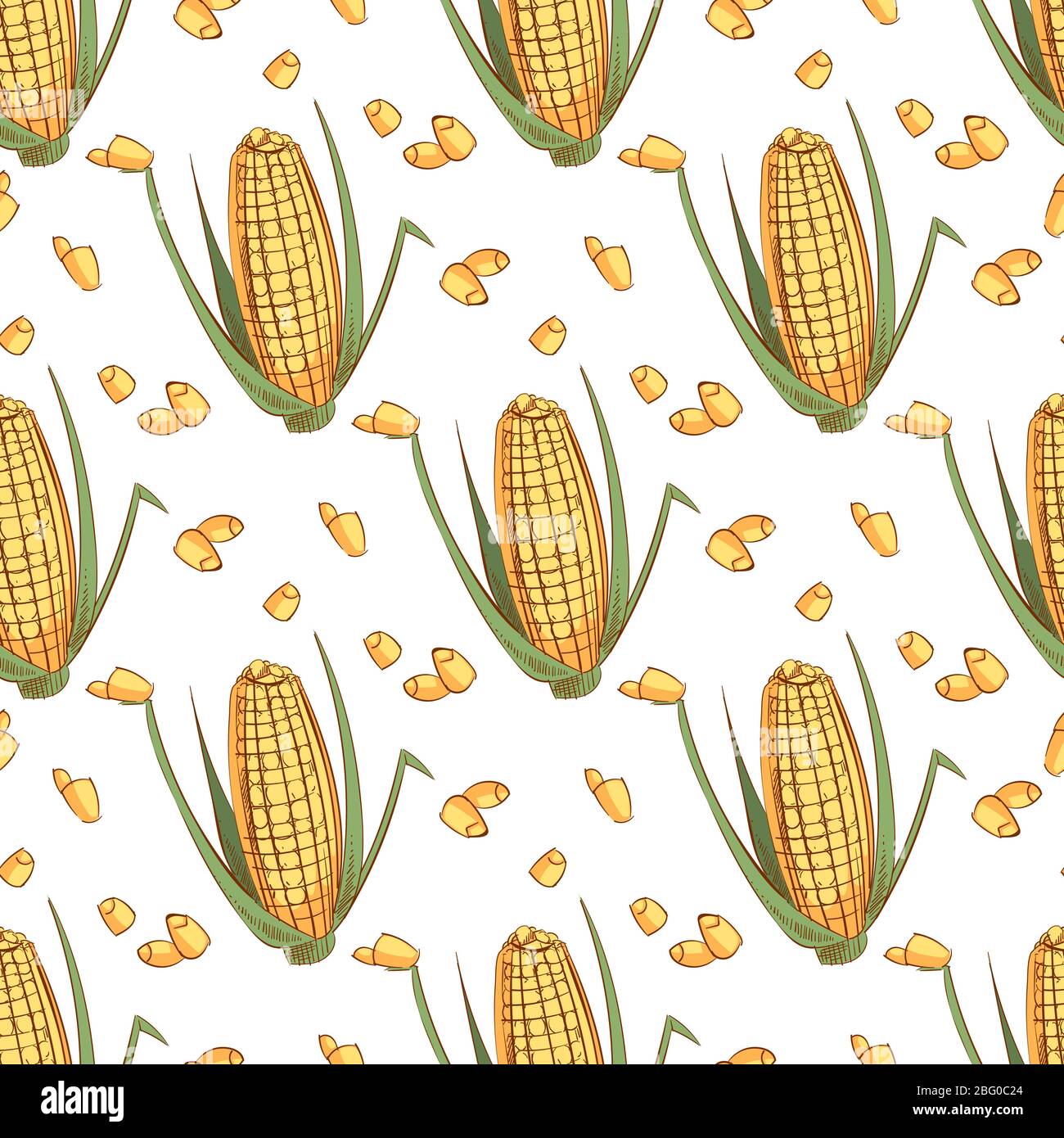 Ear of corn Stock Vector Images - Alamy