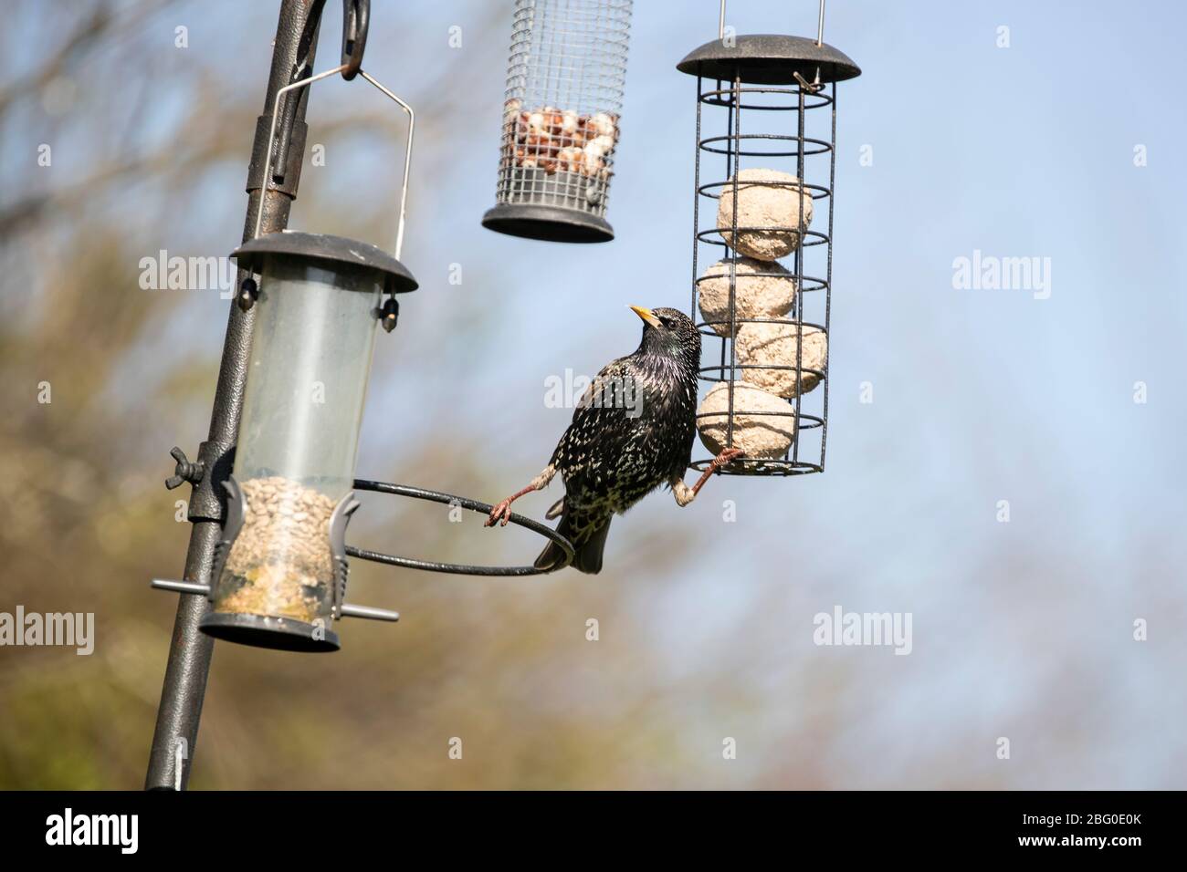 Acrobatic pose hi-res stock photography and images - Alamy