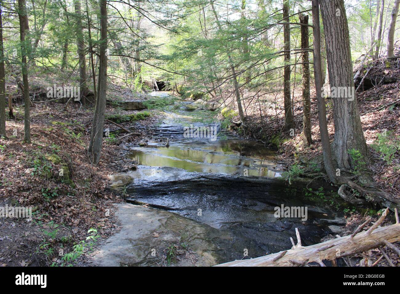 Old man cave walk trail and water fall in Ohio State,nature green ...